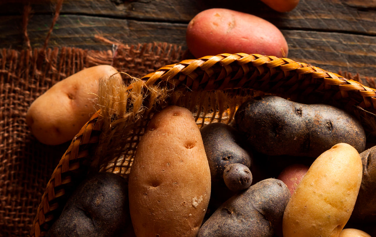 Os 5 tipos de amidos resistentes – Paty Ayres nutricionista ...