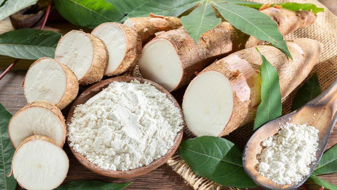 Amido Resistente – Tudo que você precisa saber – Paty Ayres ...